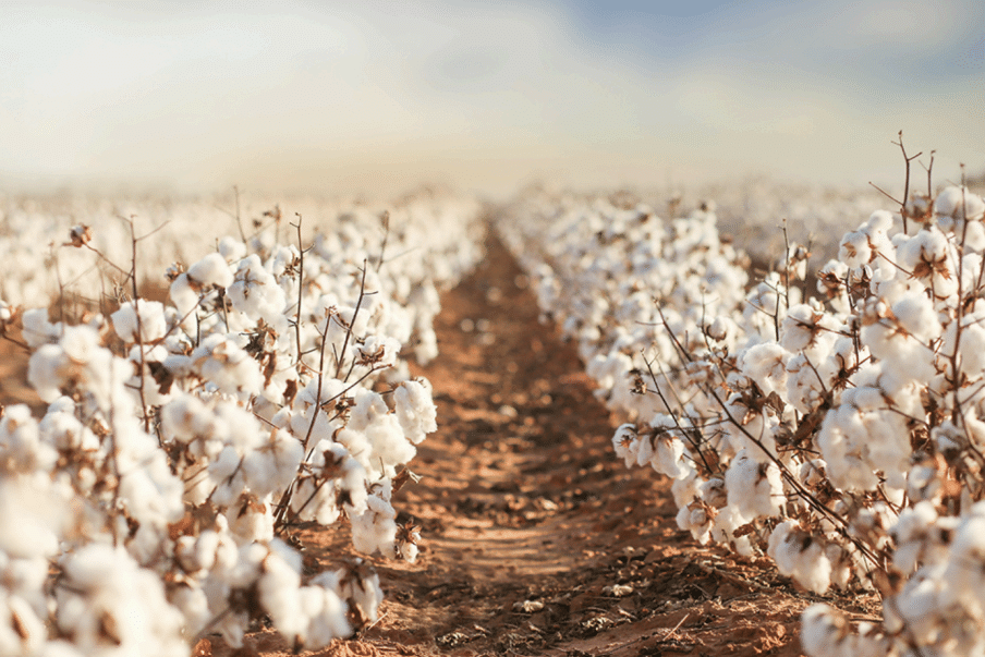 Chromatin Threads – Thread for every story your clothes tell : Stitches ...